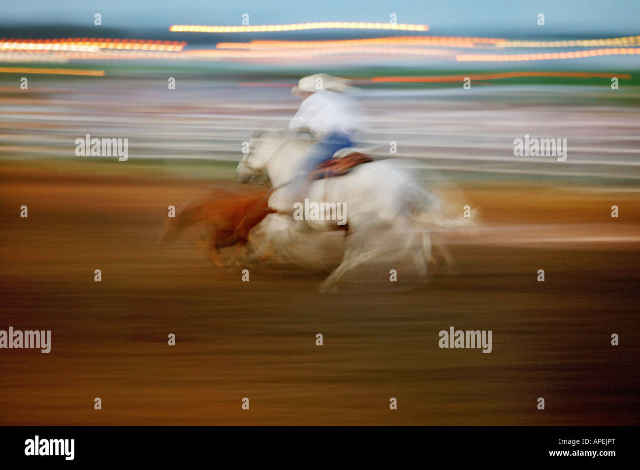 One cowboy riding a horse while roping hi-res stock photography and ...