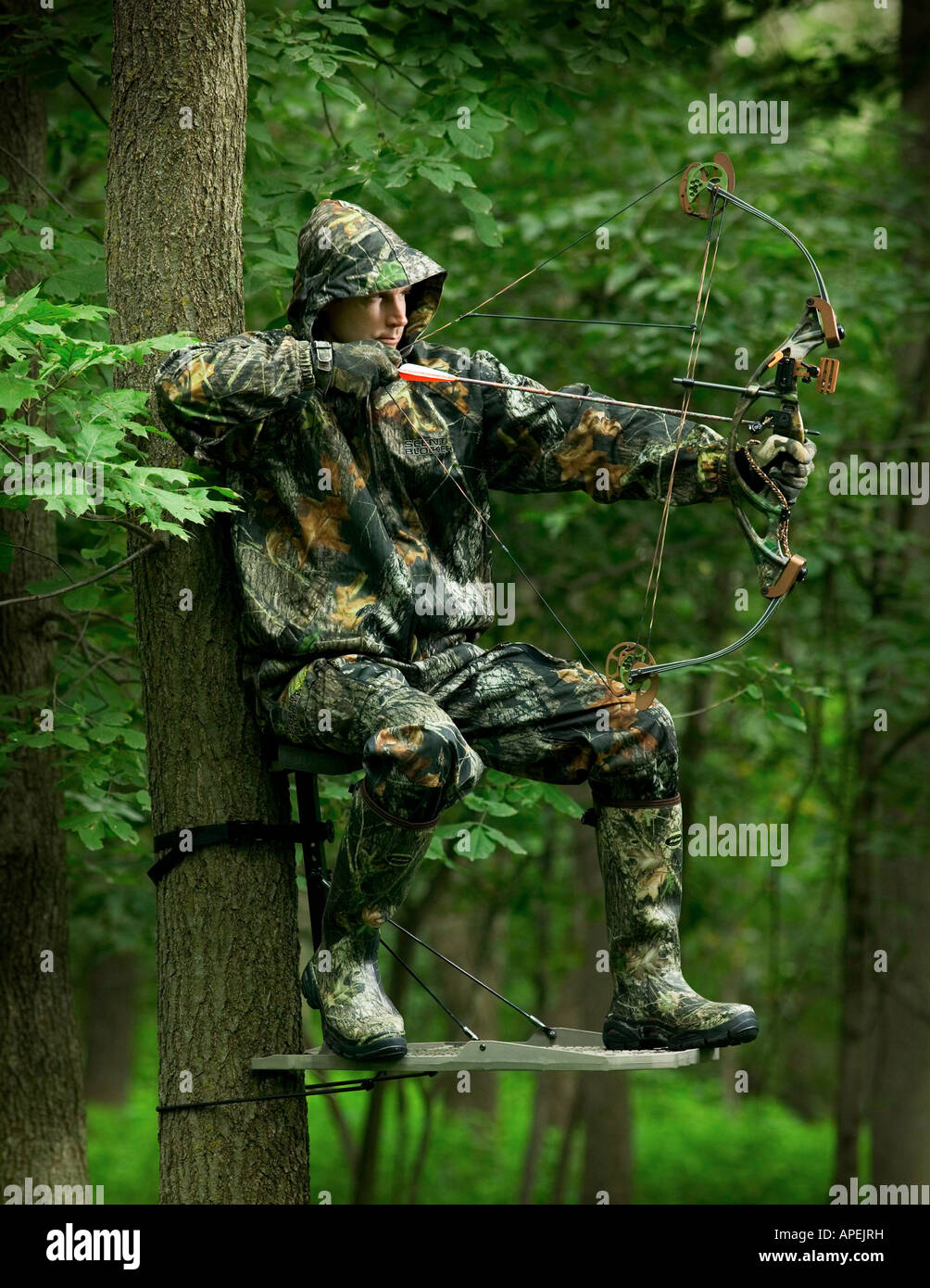 Compound Bow And Arrow