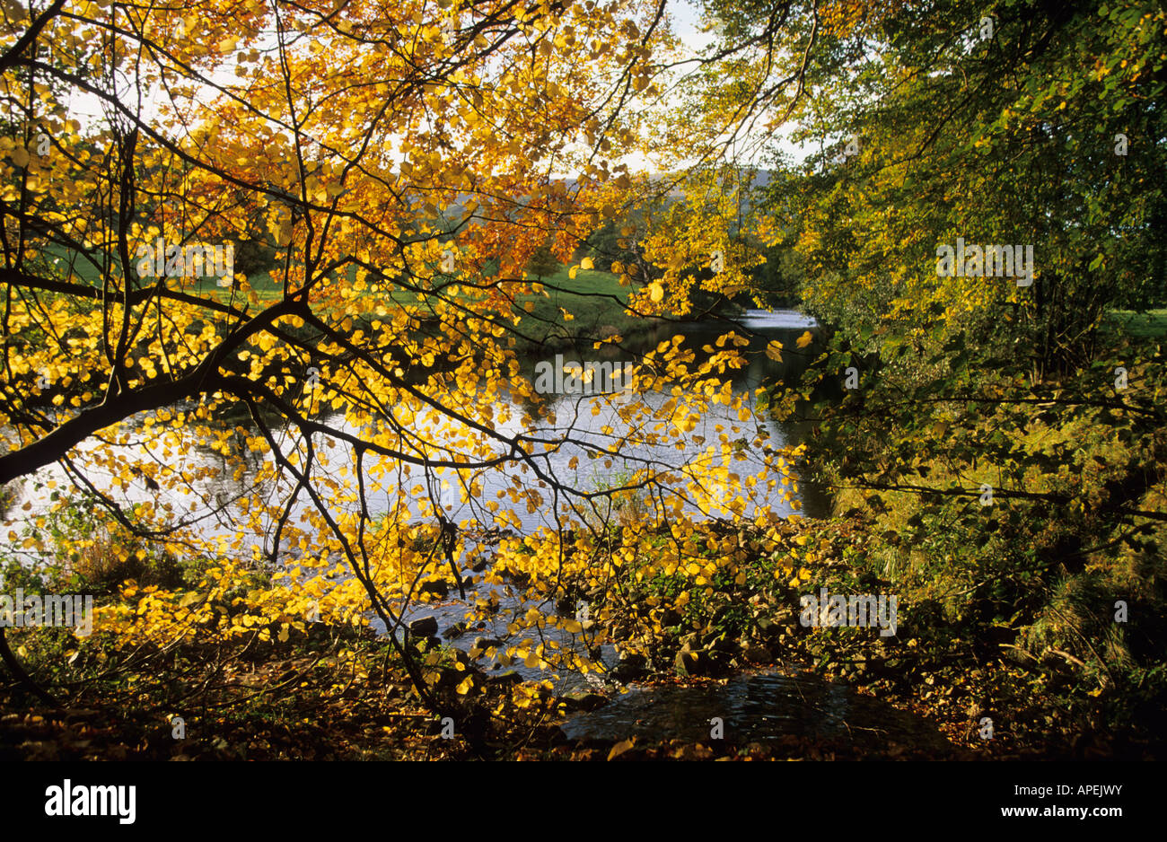River ribble, lancashire, england hi-res stock photography and images ...