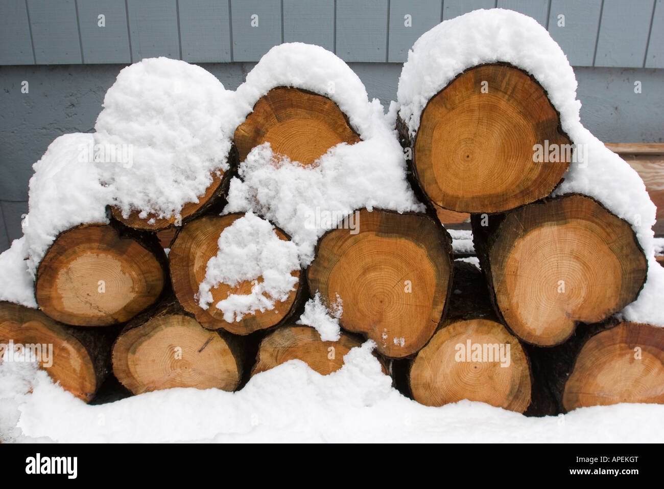 Stack of firewood logs hi-res stock photography and images - Alamy