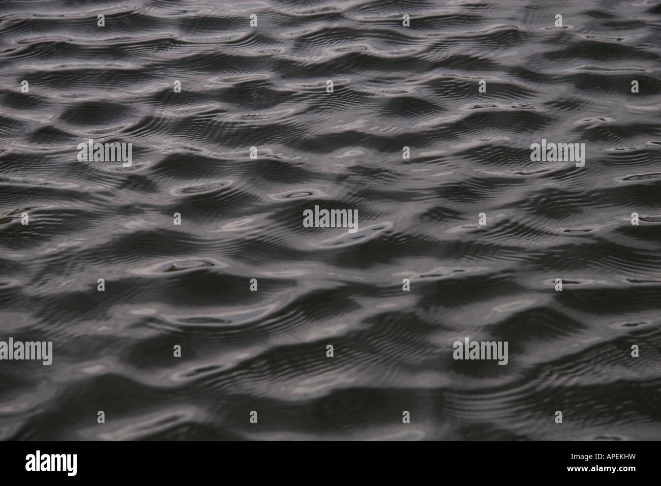 Ripples and waves from wind dance on the surface of a lake in summer ...