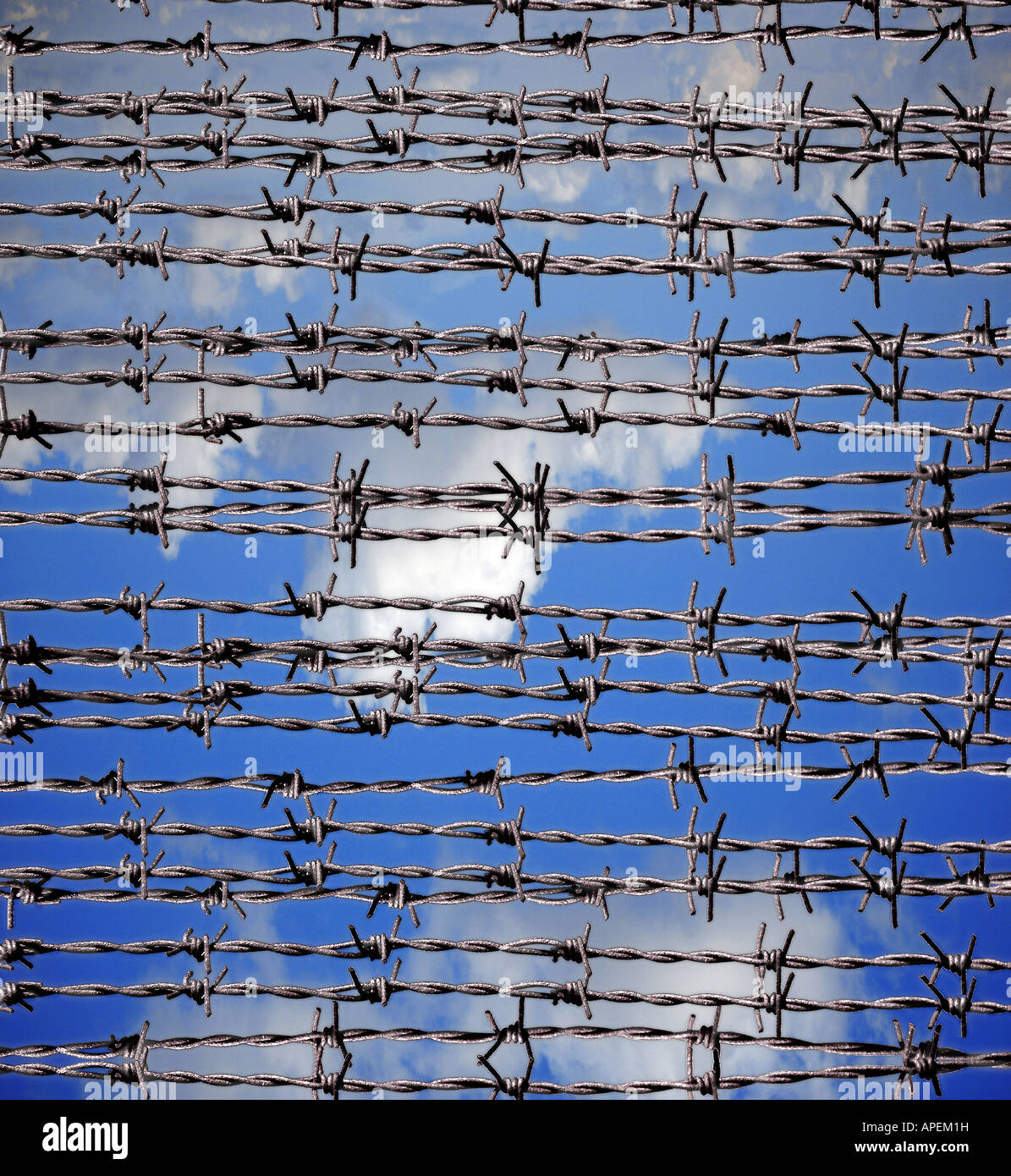 Barbed wire. Prison, jail, loss of freedom Stock Photo - Alamy