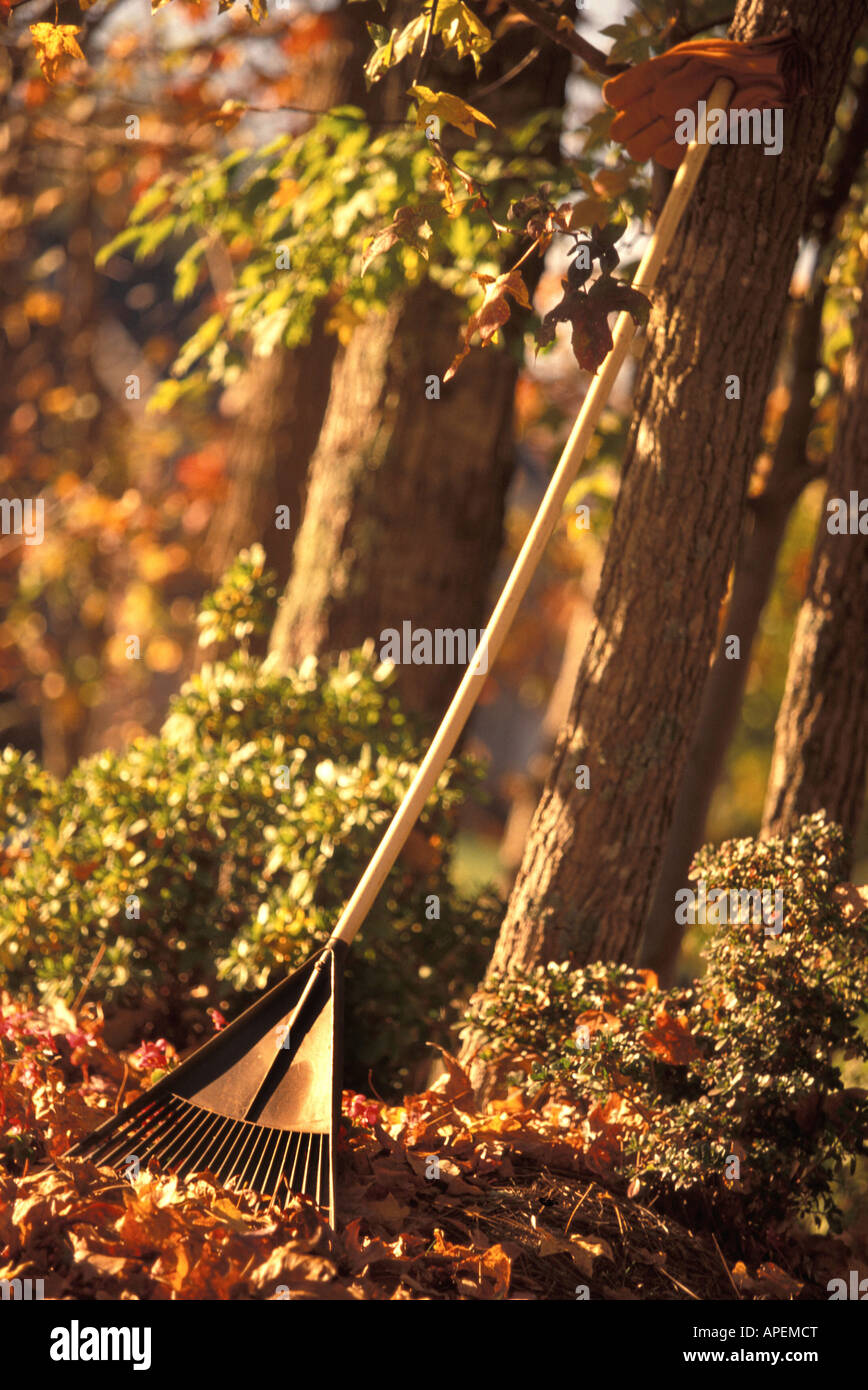 Fall leaves and rake. Seasons. Nostalgia Stock Photo - Alamy