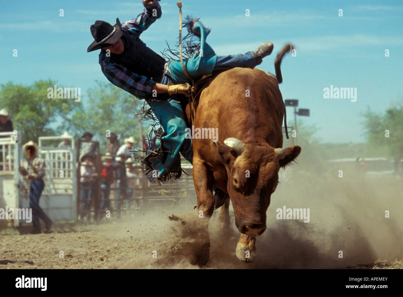 Bullrider hi-res stock photography and images - Alamy