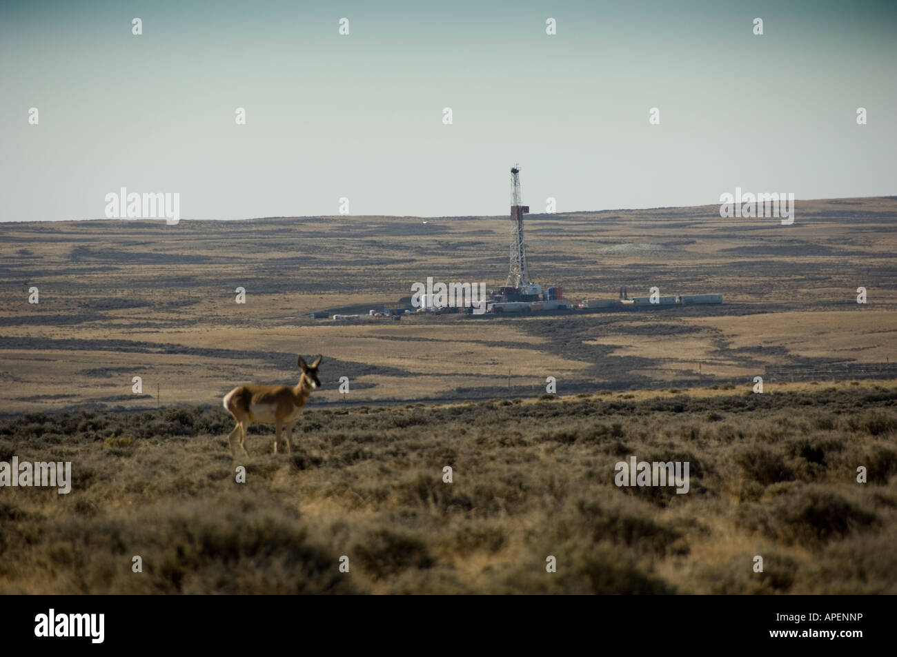 Drilling rig in wyoming hi-res stock photography and images - Alamy