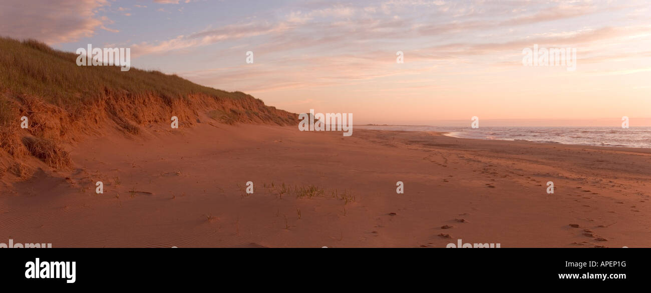 Sand dunes along an empty beach reflect the sunset Stock Photo - Alamy