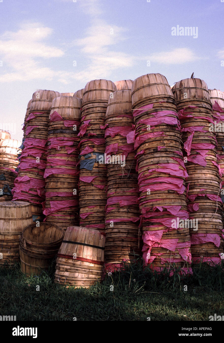 farm, Riverhead, NY - stacks of baskets used for harvesting vegetables ...