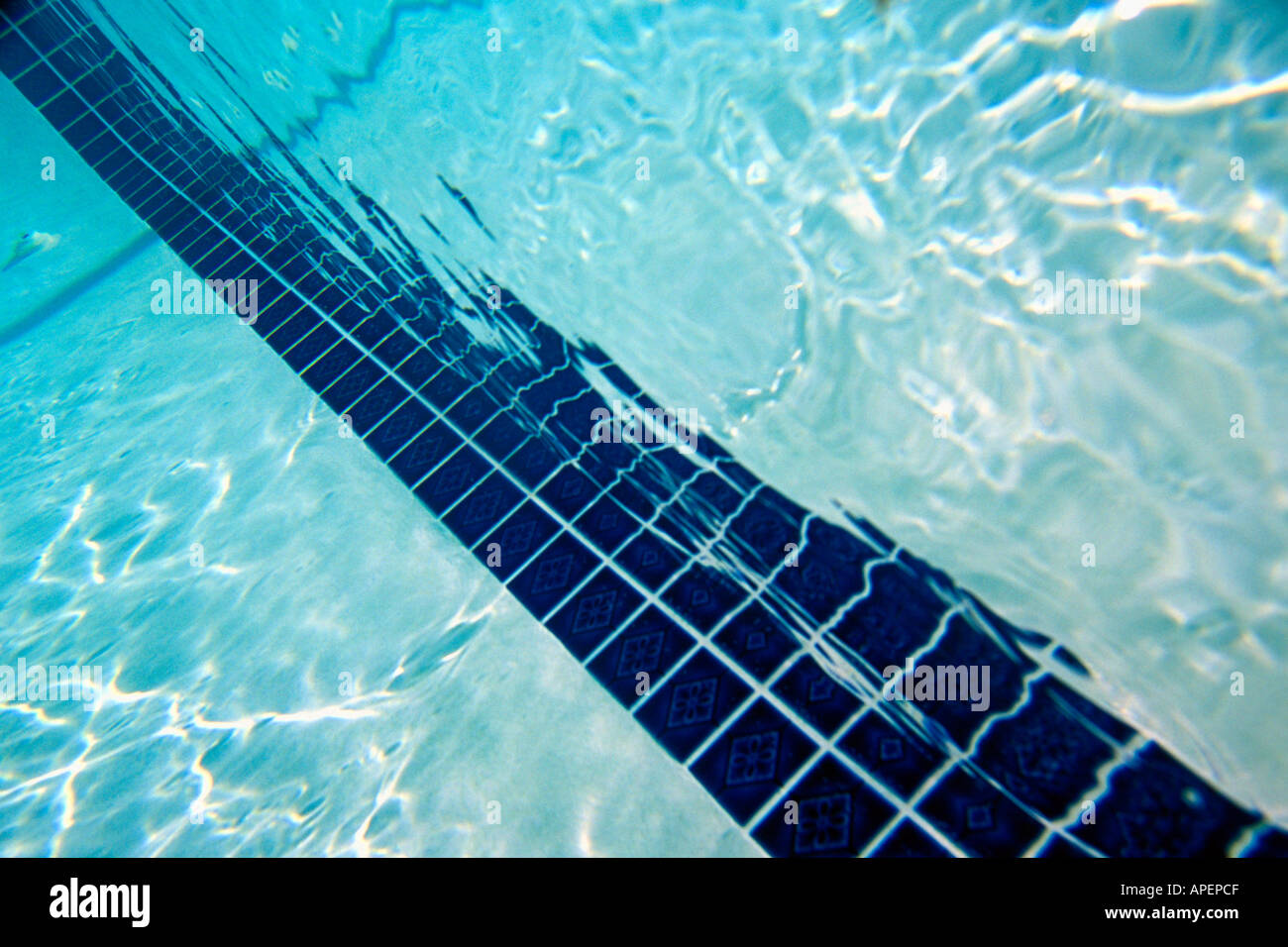 The blue tile bottom of indoor public pool Stock Photo - Alamy