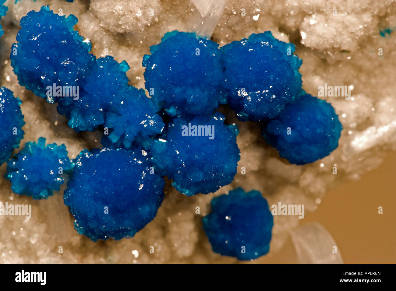 Wagholi pune hi-res stock photography and images - Alamy