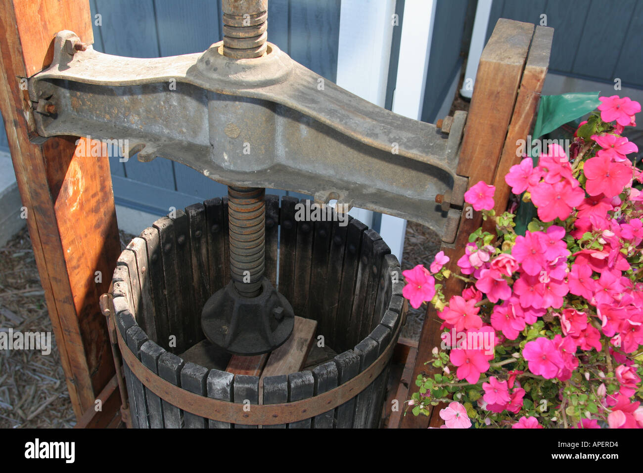 Wine press flowers hi-res stock photography and images - Alamy