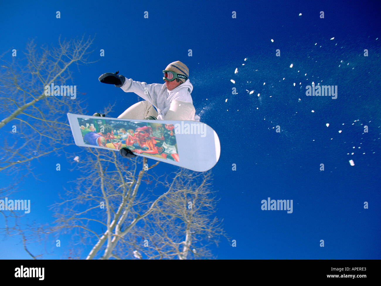 Bending treetops hi-res stock photography and images - Alamy