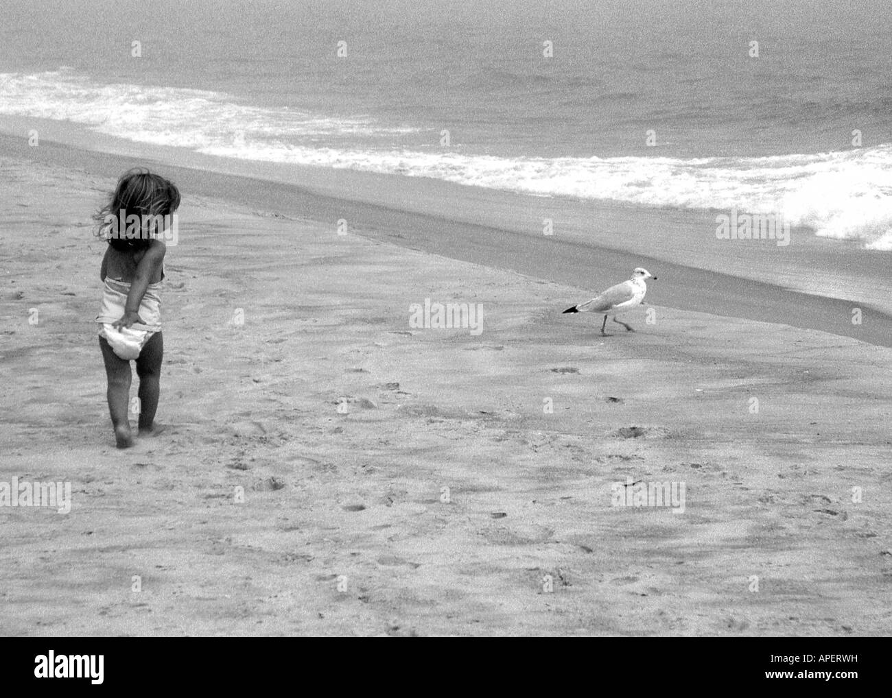 Young girl chasing a seagull Stock Photo - Alamy