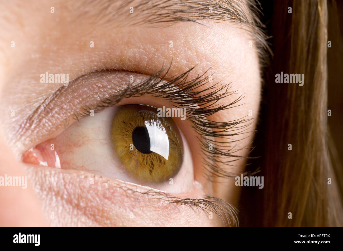 Hazel colored eyes hi-res stock photography and images - Alamy