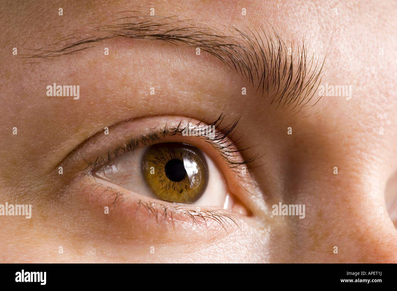 Hazel colored eyes hi-res stock photography and images - Alamy