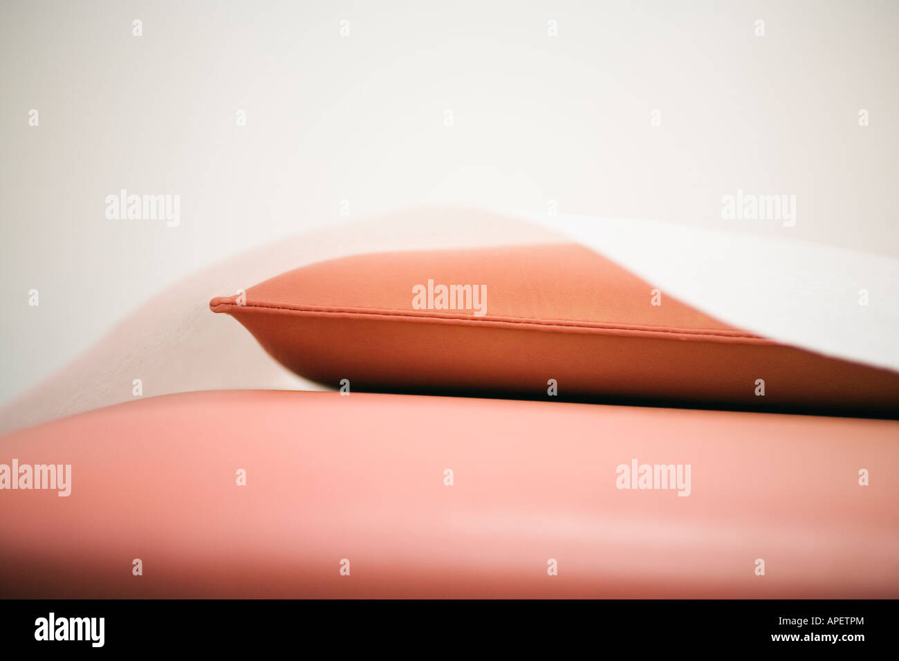 Soft tissue examination hi-res stock photography and images - Alamy