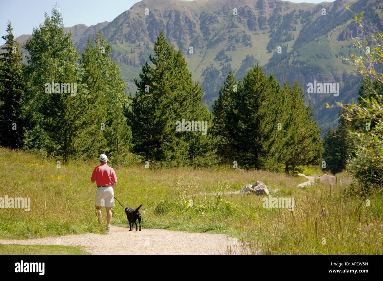 Man walking with his dog on mountain trail with pines and mountains in ...