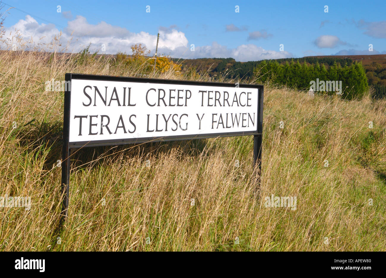 Unusual named bilingual Welsh English language street sign SNAIL CREEP ...