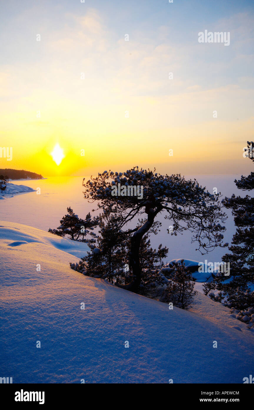 Winter at the sun Stock Photo - Alamy