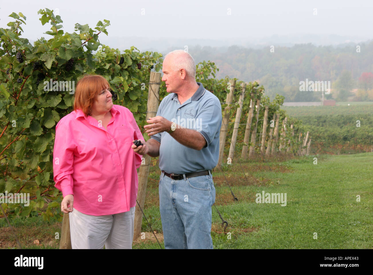 Michigan Coloma,Karma Vista Vineyards and Winery,Grape and Wine ...