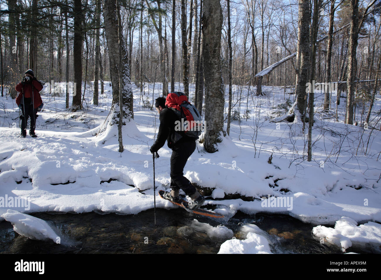 Hiking on Garfield Trail during the winter months Located in the White ...
