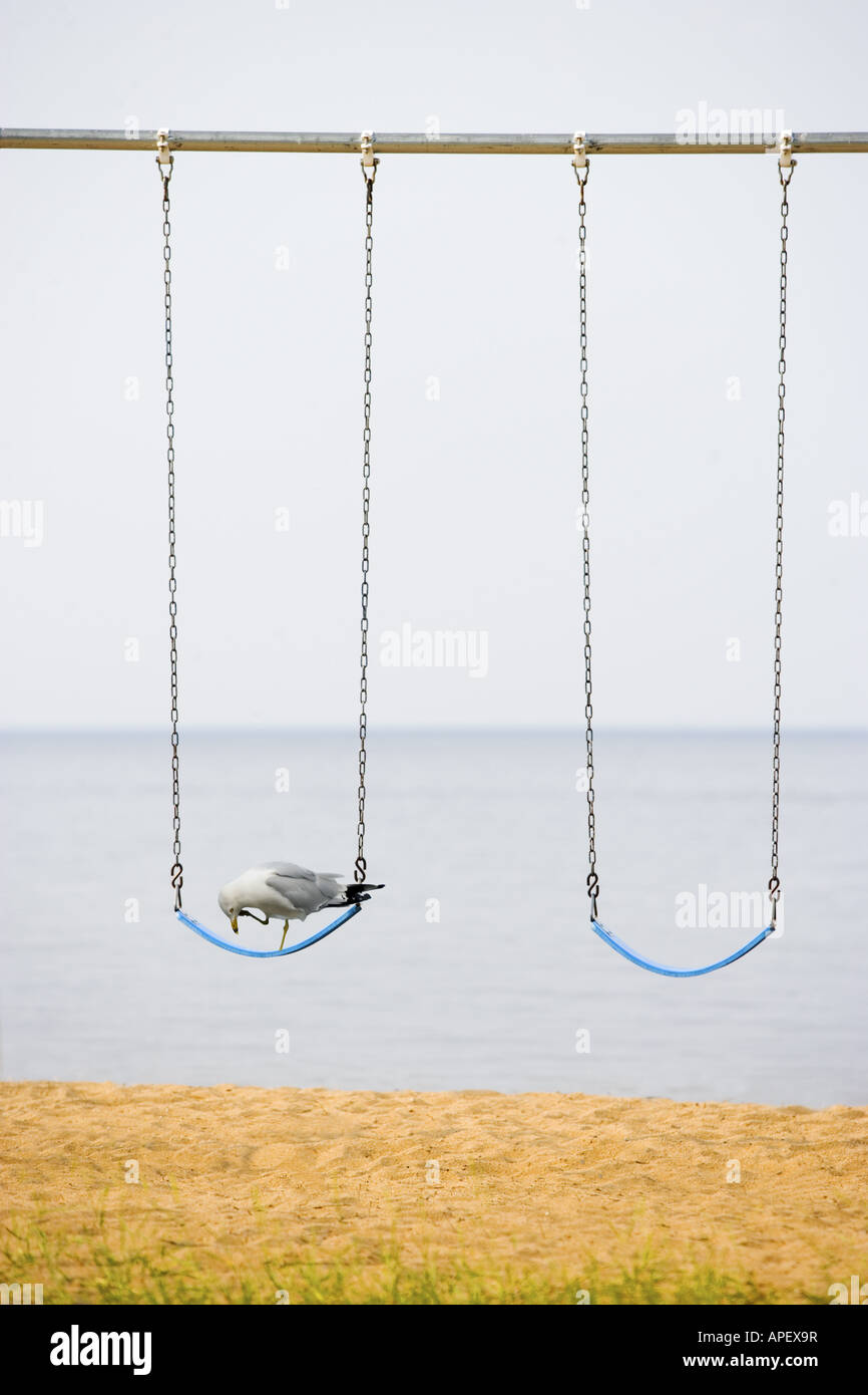 Gray beach and ocean setting, reddish sand, close-up of two simple ...