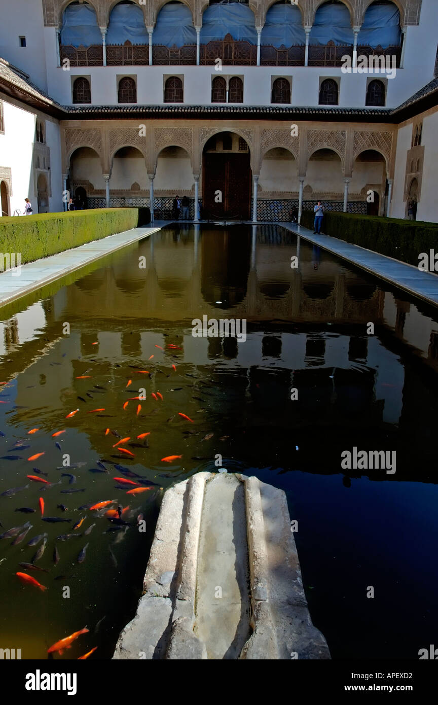 Medieval fish pond hi-res stock photography and images - Alamy