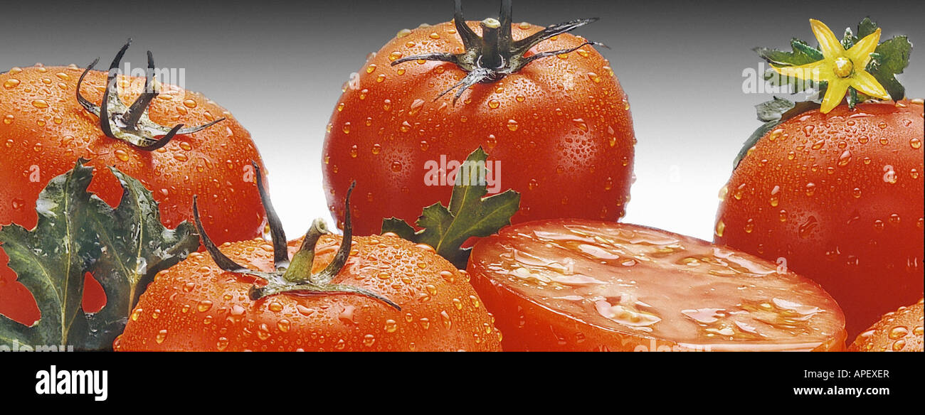 Studio close-up shot of tomatoes, one cut in half, with mango flower ...