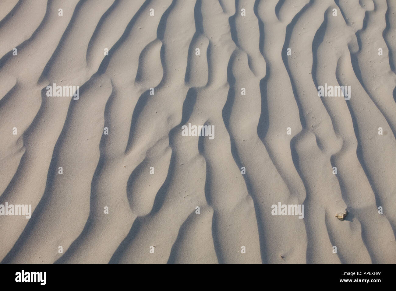 Sonoran desert sand dune dunes hi-res stock photography and images - Alamy