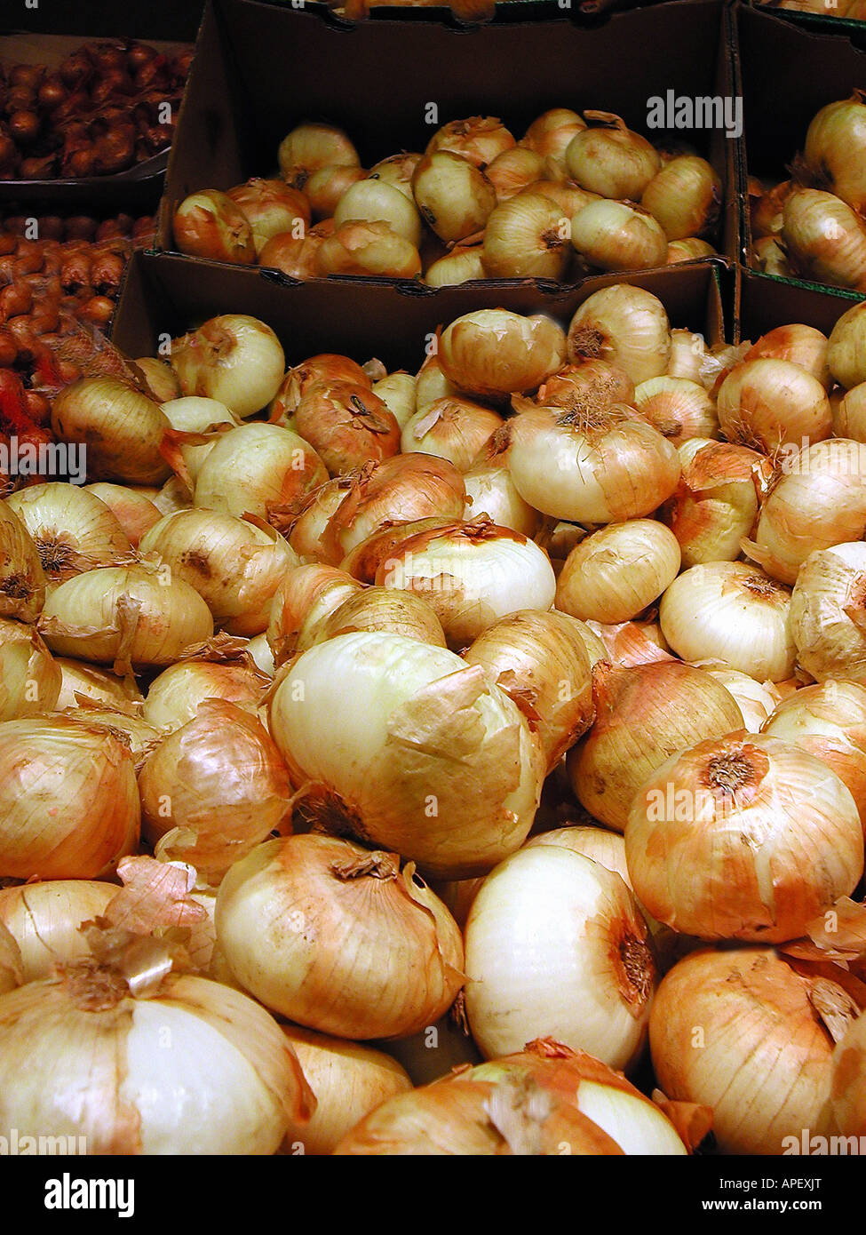 Onions close-up spreading to darker background Stock Photo - Alamy