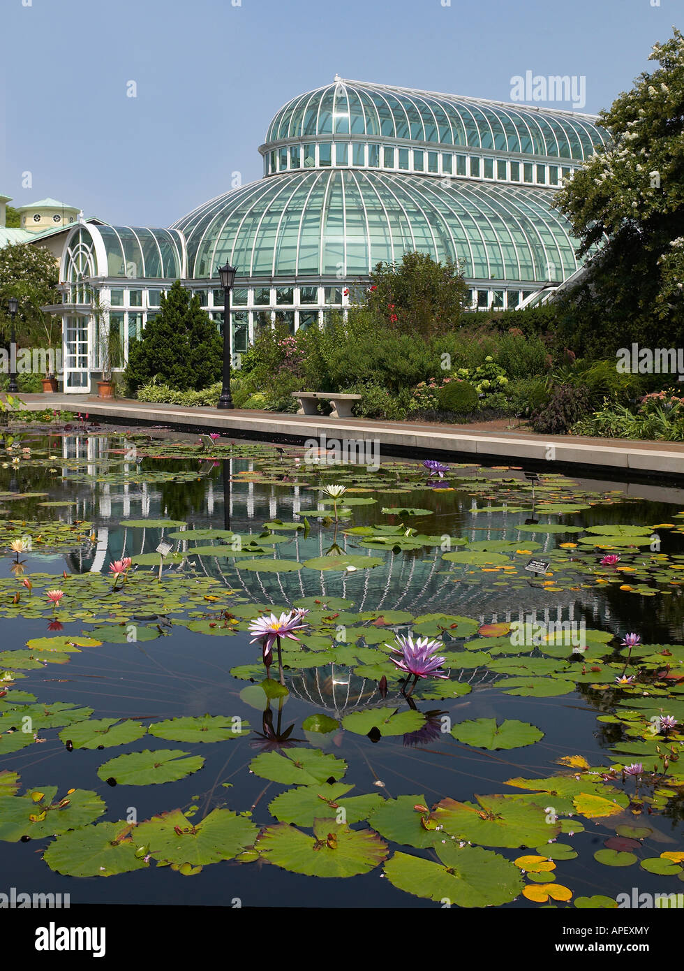 Brooklyn New York Botanical Gardens lily pond, USA Stock Photo - Alamy