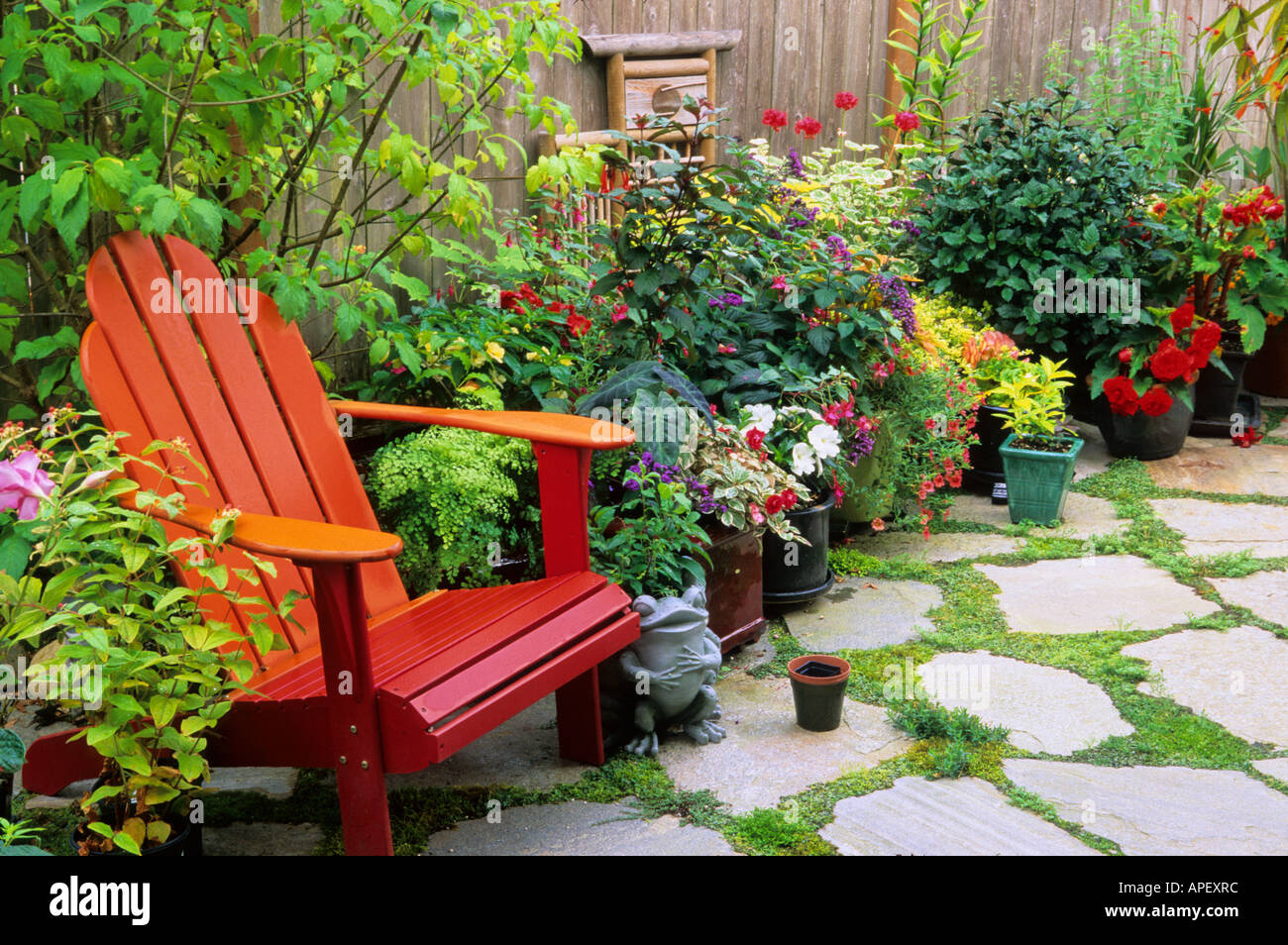 Colorful backyard garden Stock Photo - Alamy