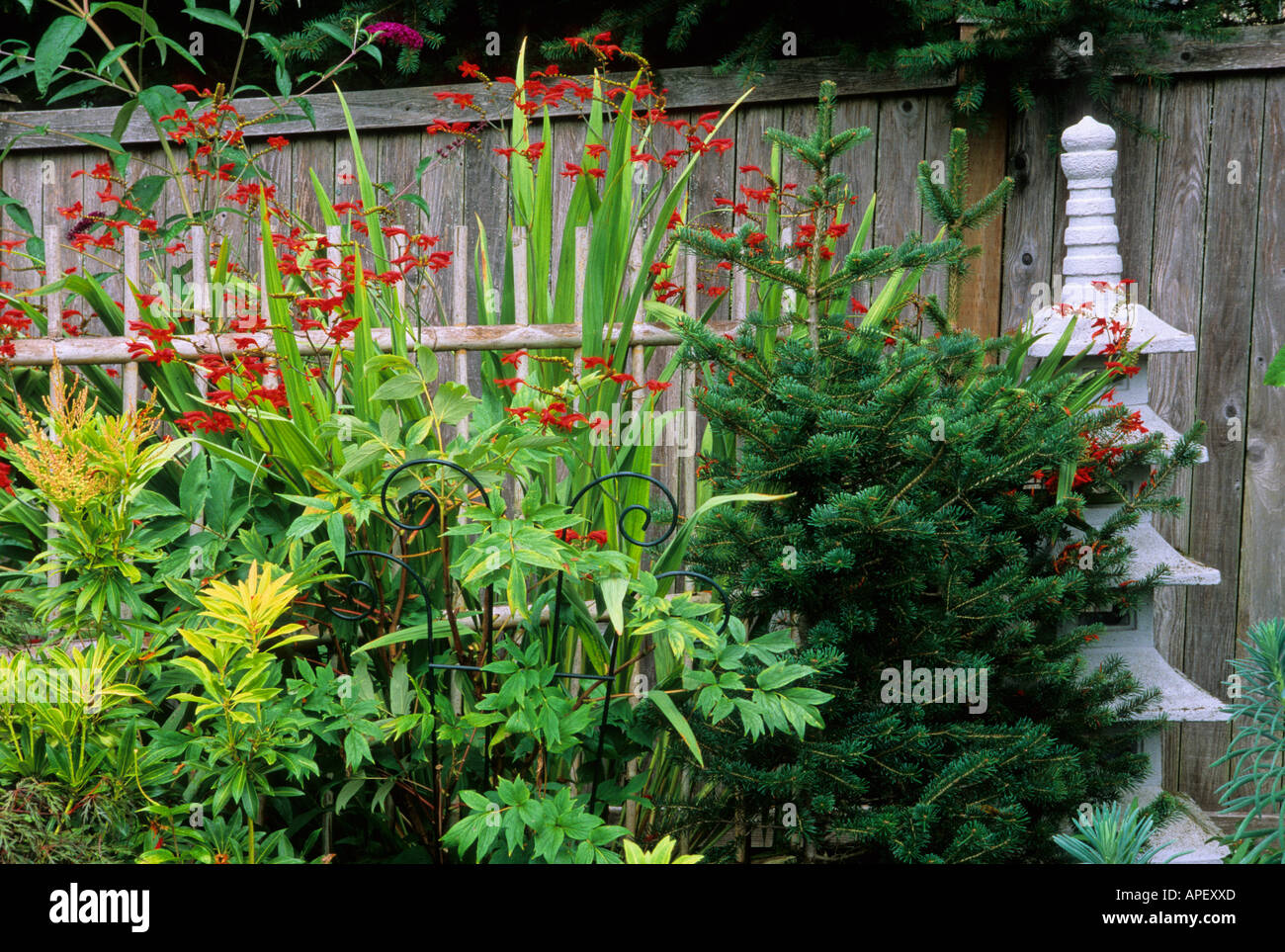 Japanese garden trellis hi-res stock photography and images - Alamy