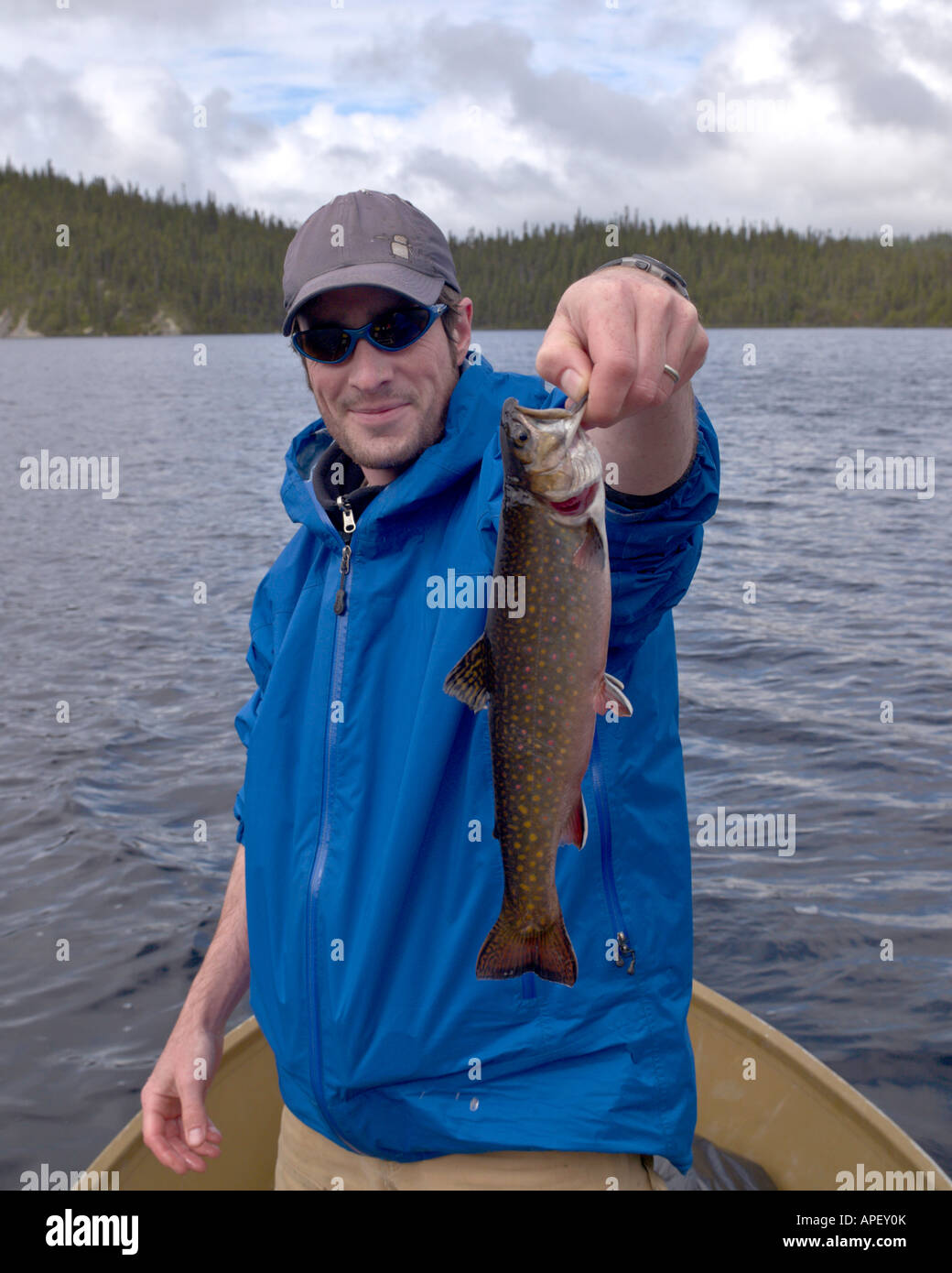 Fisherman with brook trout, Quebec Canada Stock Photo - Alamy