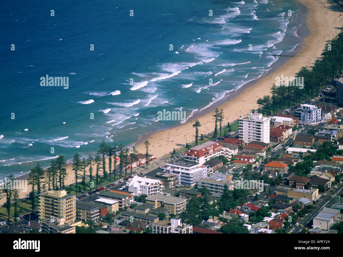 Aerial view of Manly beach, Sydney, Australia Stock Photo - Alamy