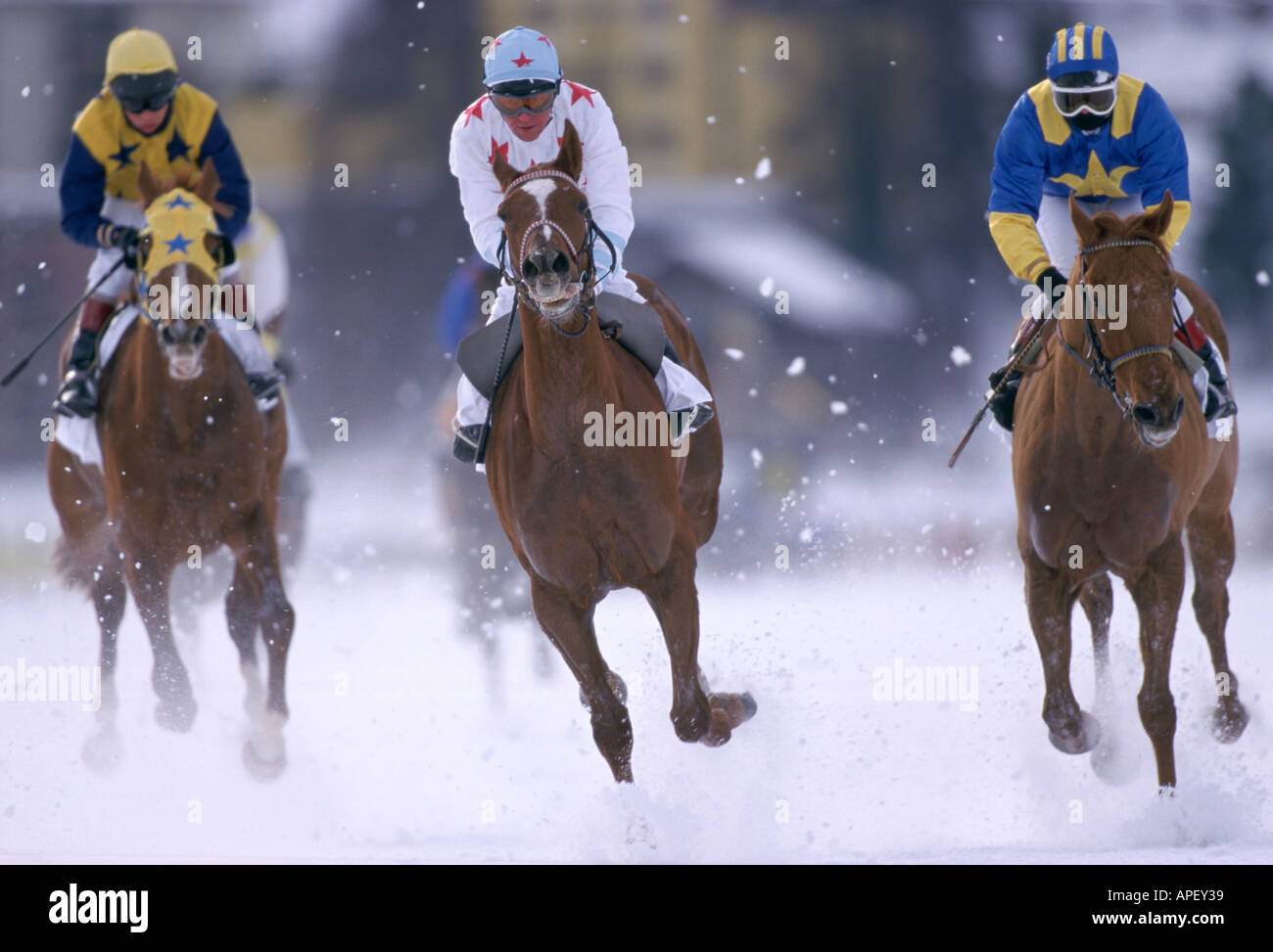 HORSE RACING IN SNOW ST MORITZ Stock Photo - Alamy