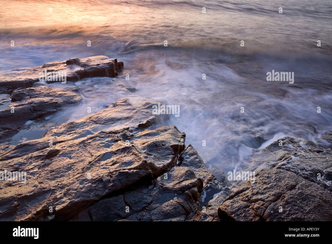 Rocks along the shoreline at Craster in dawn sunlight Northumberland ...