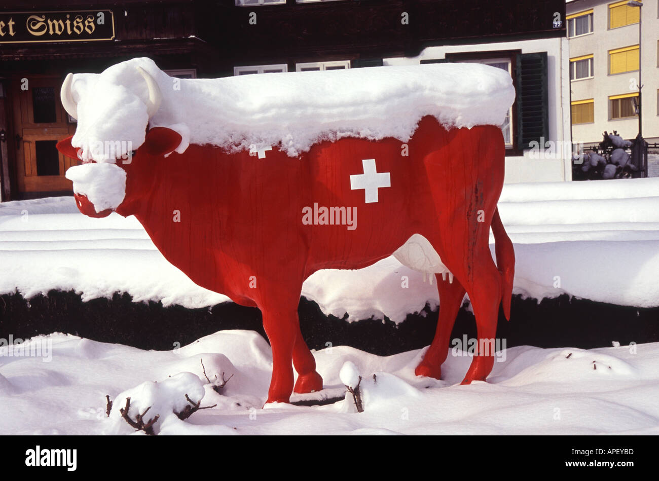 SWITZERLAND. A fake Swiss cow covered in real snow greets guests ...