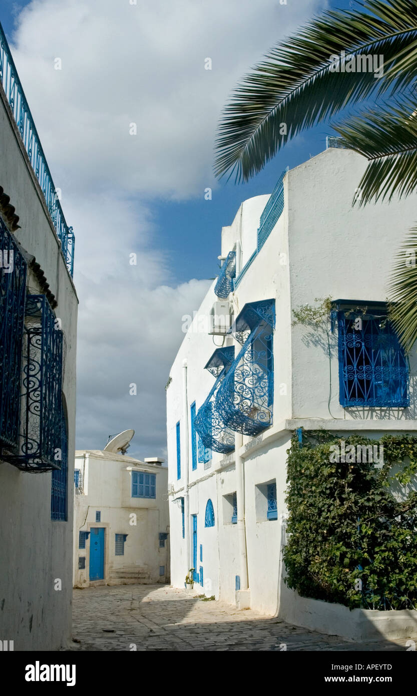 Typical street scene in the tiny village of Sidi Bou Said, north of ...