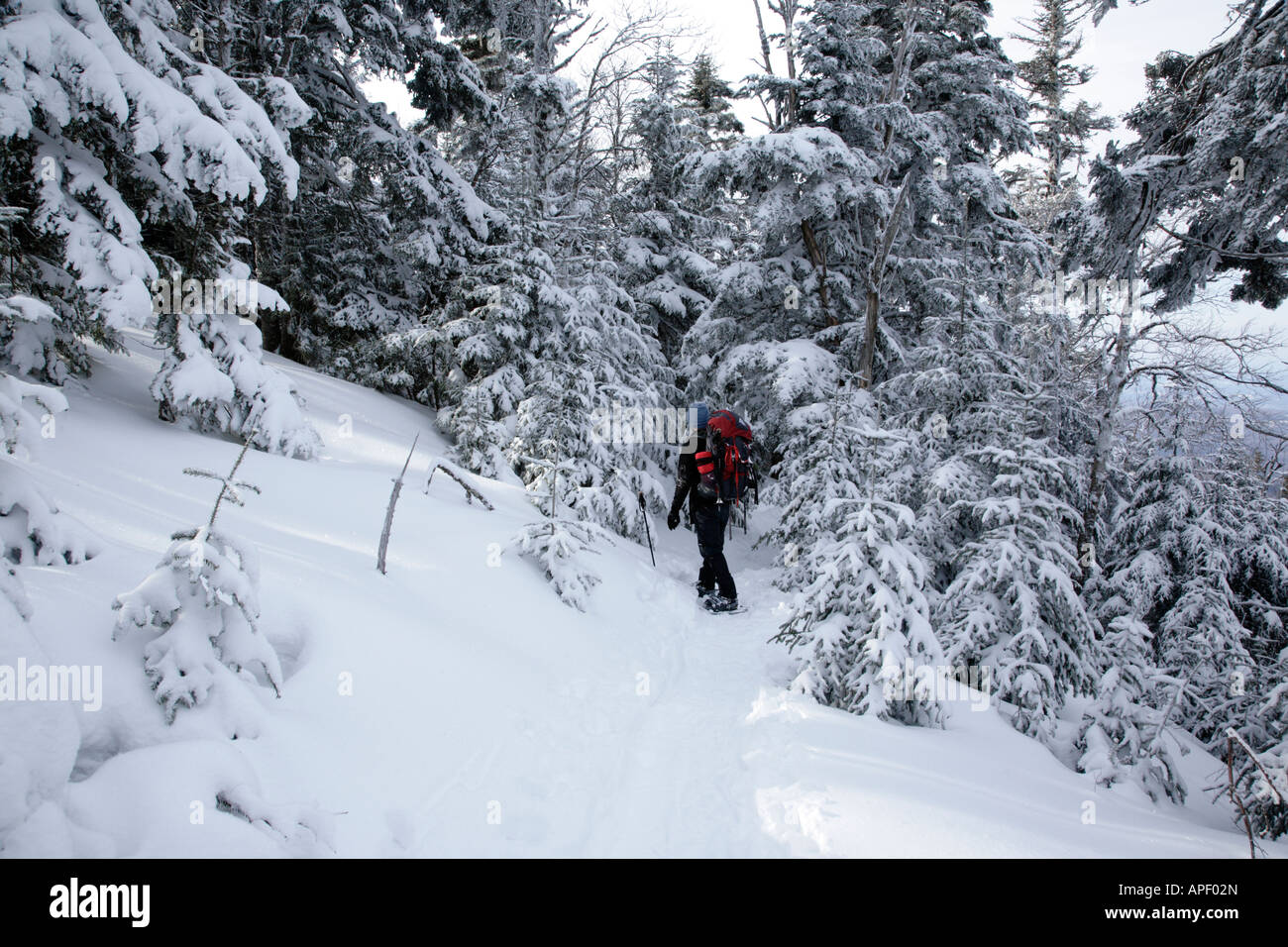 Hiking on Garfield Trail during the winter months Located in the White ...
