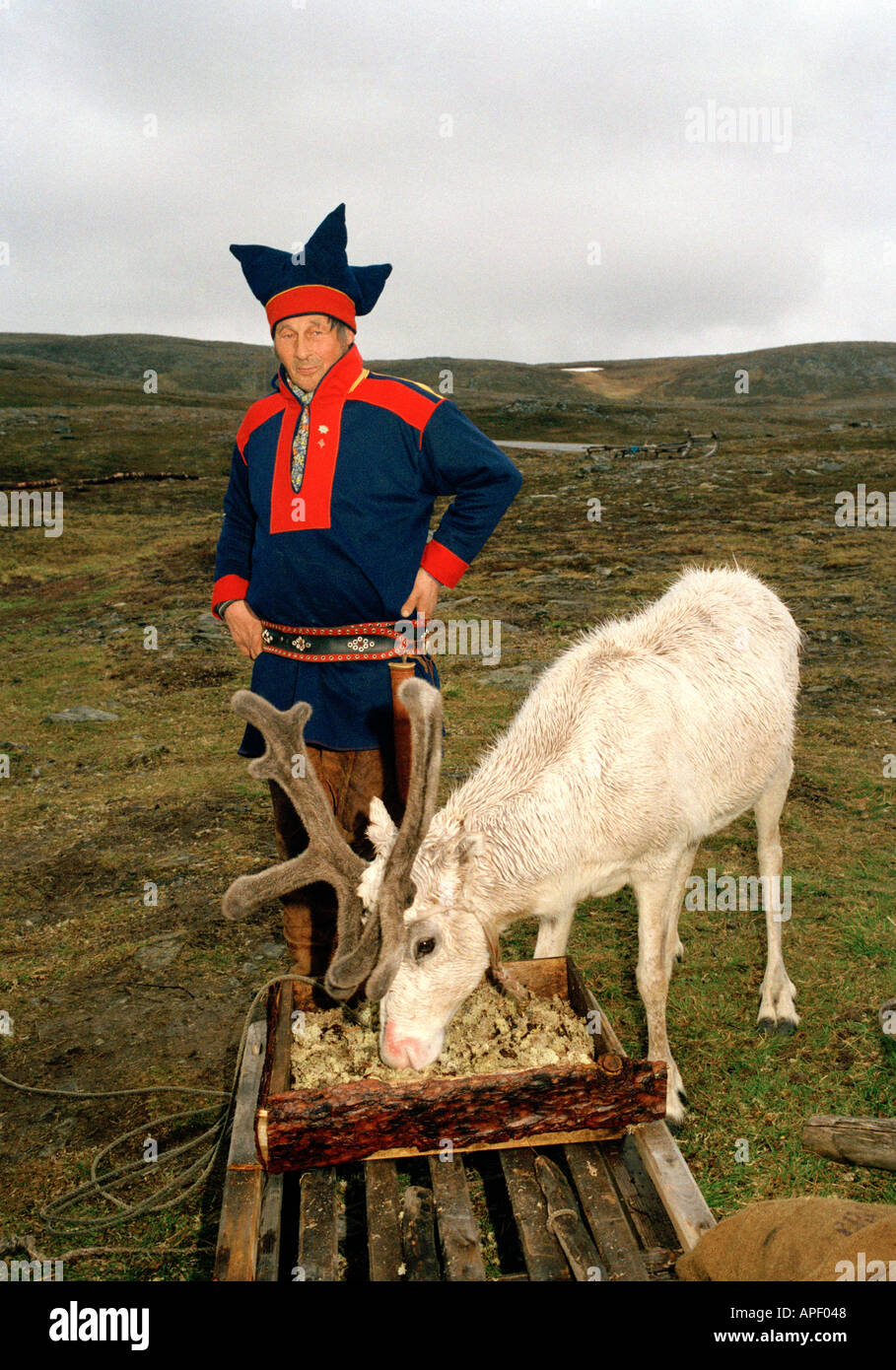 Sami lapp costume hi-res stock photography and images - Alamy