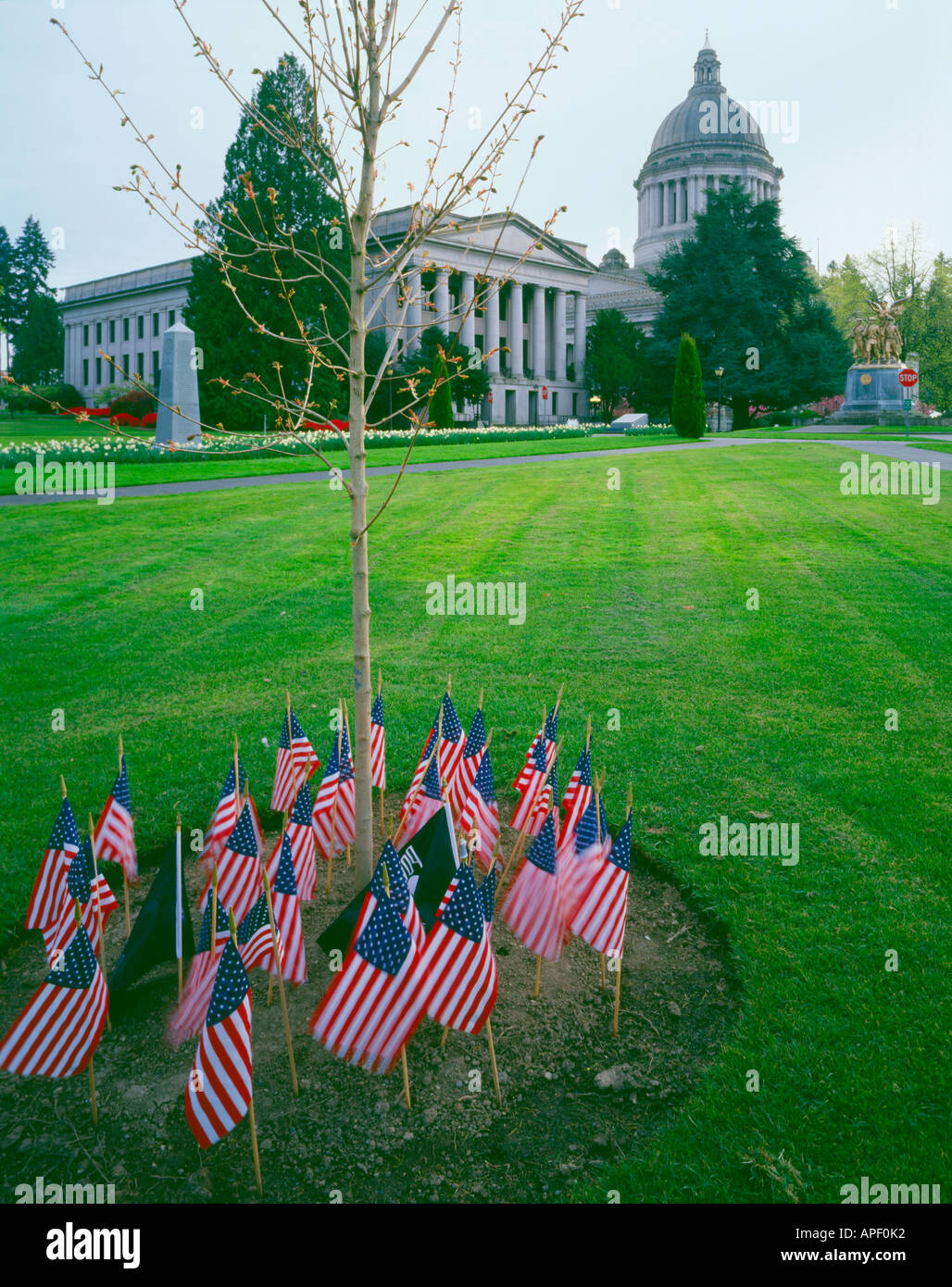 American Flags and Washington State Capitol, Olympia Stock Photo - Alamy