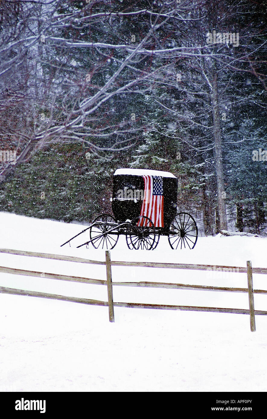 Old fashioned black horse carriage with American flag draped over it in ...