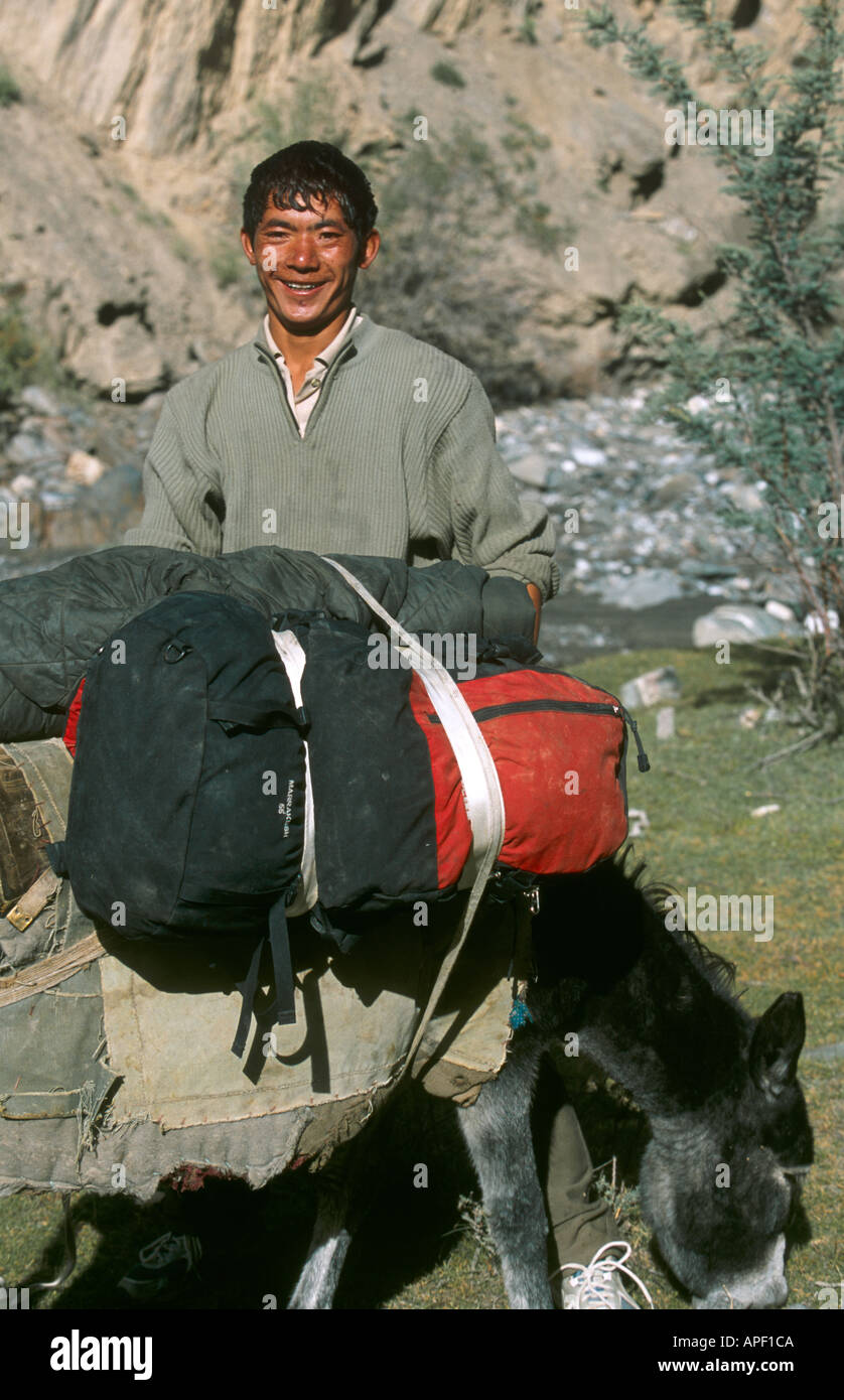 Ponyboy High Resolution Stock Photography and Images - Alamy