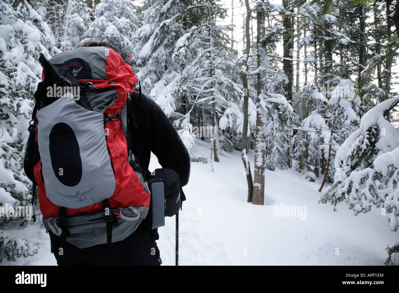 Hiking on Garfield Trail during the winter months Located in the White ...