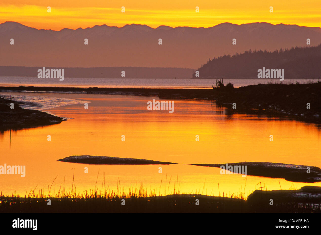 Skagit bay hi-res stock photography and images - Alamy