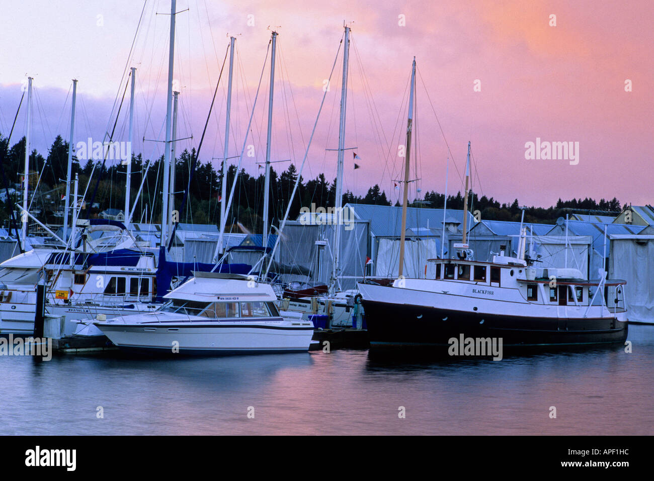 Budd bay hi-res stock photography and images - Alamy