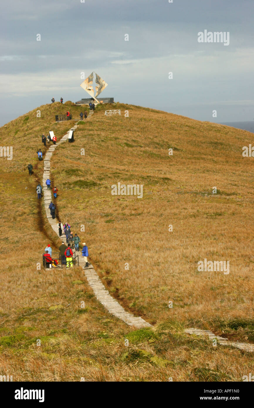 Cape horn chile albatross hi-res stock photography and images - Alamy