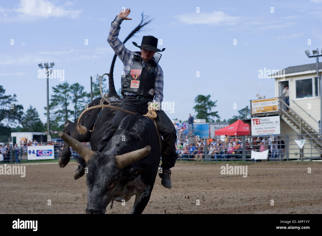 Rodeo cowboy riding a bull Stock Photo - Alamy