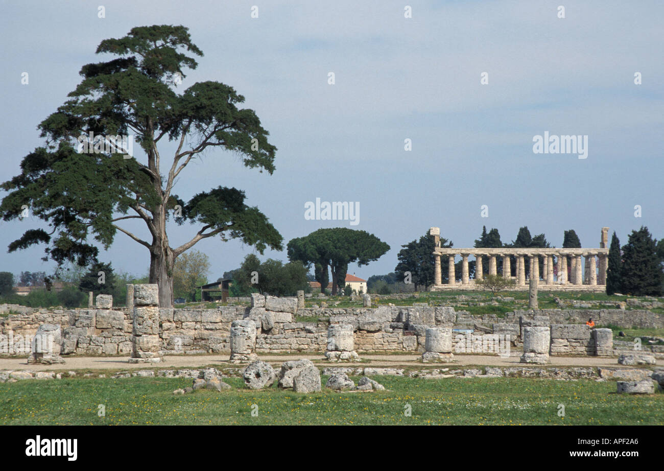 UNESCO World Heritage, Paestum Stock Photo - Alamy