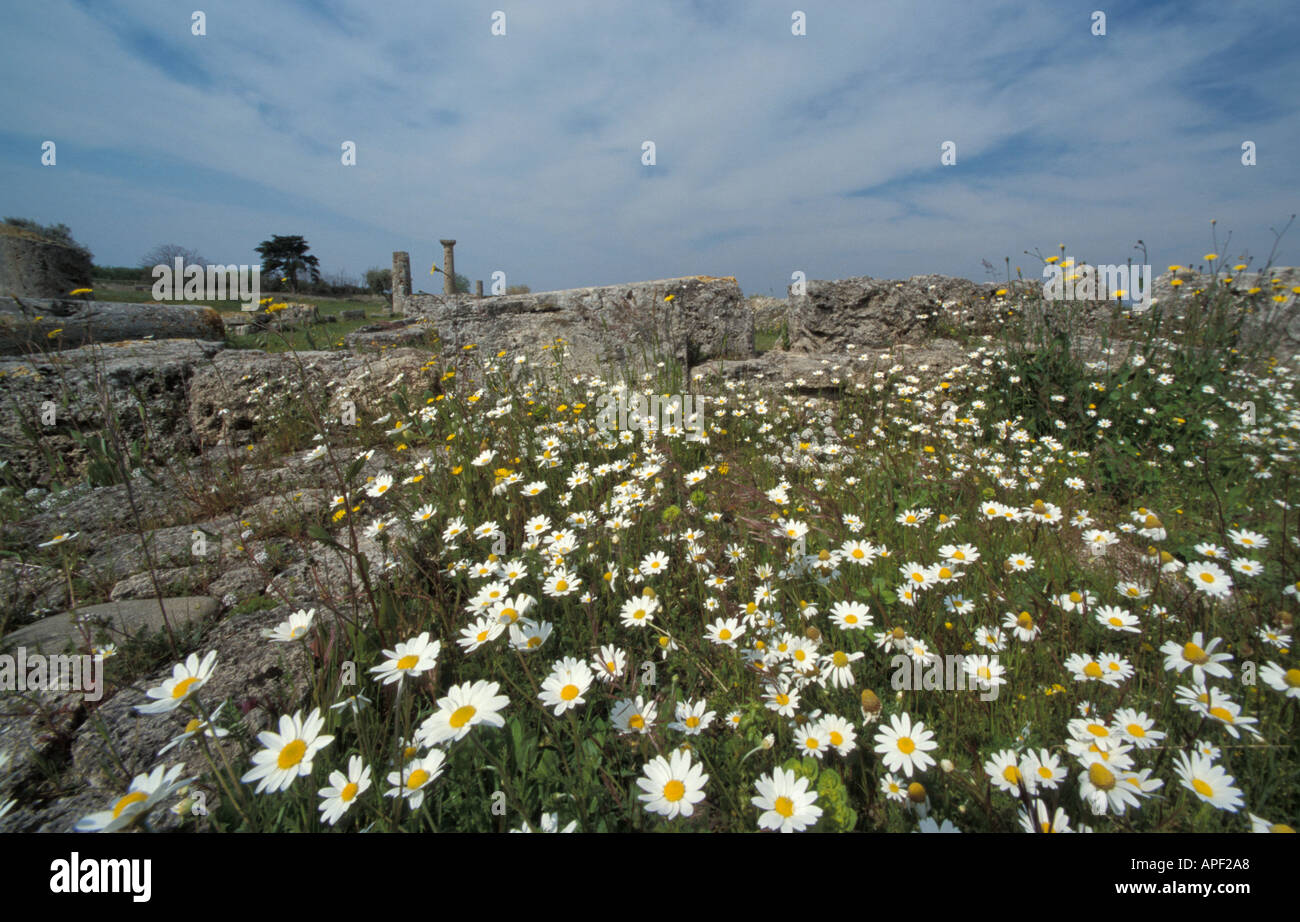 UNESCO World Heritage, Paestum Stock Photo - Alamy